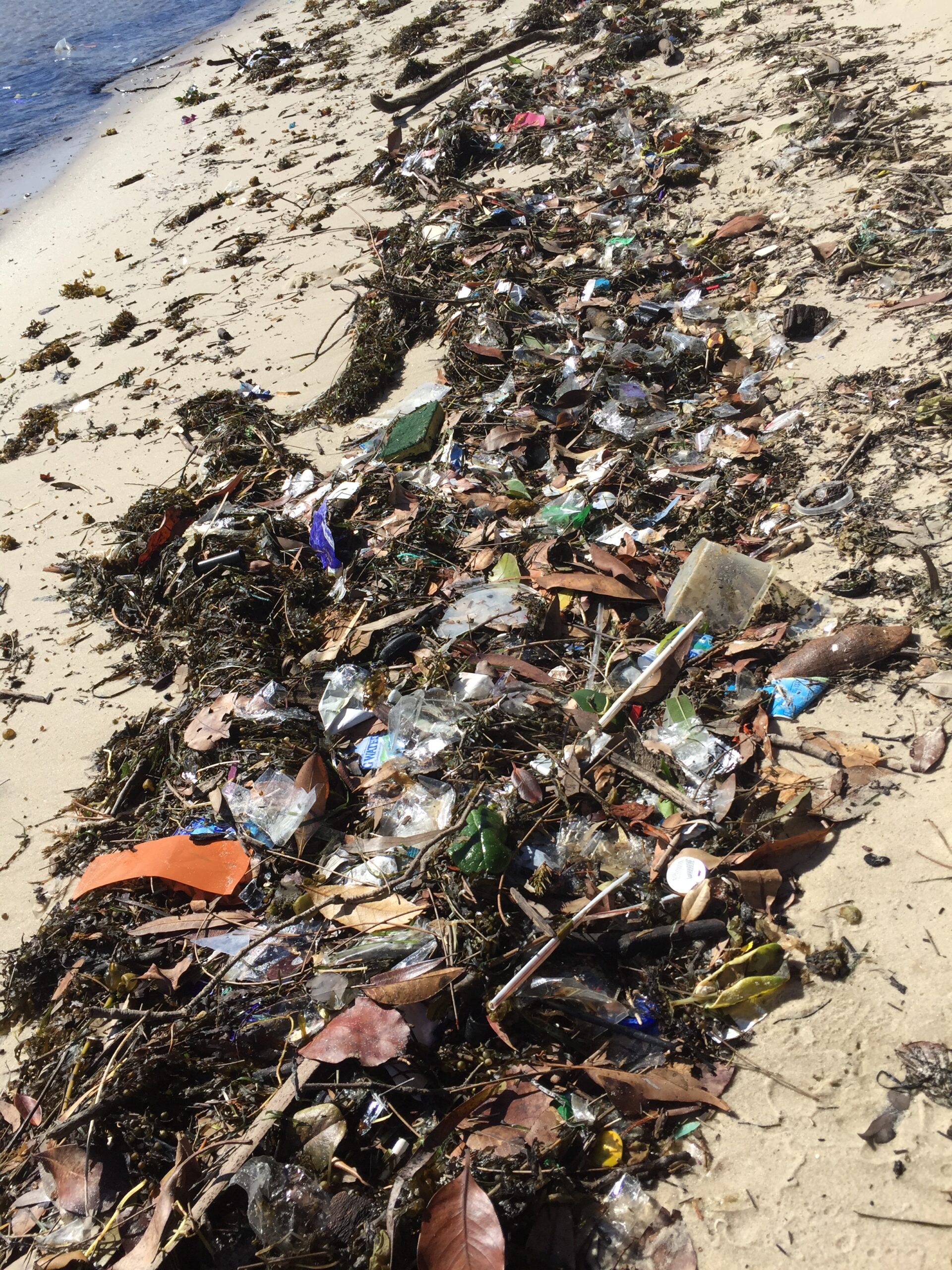 Rox De Luca: Gleaning for plastics, defying wastefulness – Voices of Women